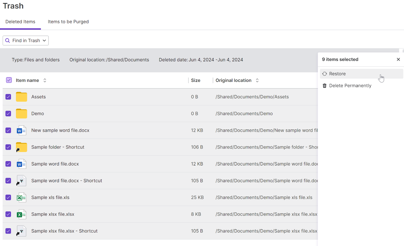 Restore items deleted through Desktop App on Windows – Egnyte