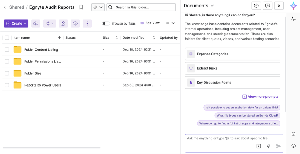 Copilot - Overview – Egnyte