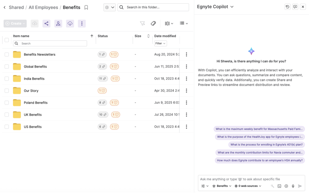 Copilot - Overview – Egnyte