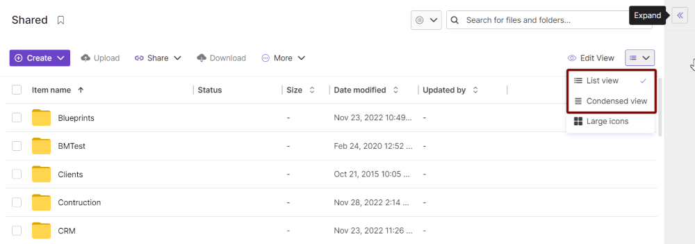 File Versions – Egnyte